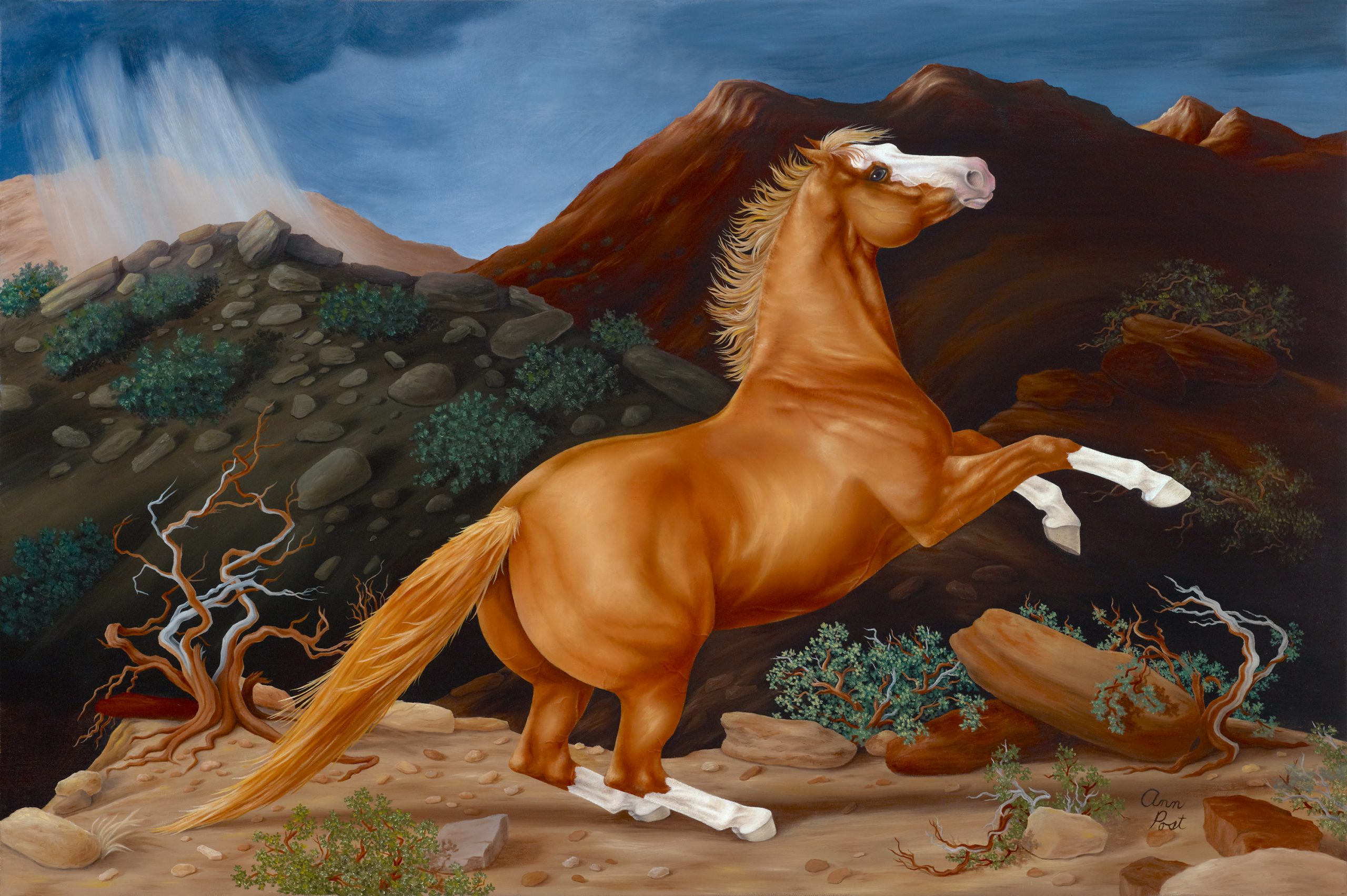 Cowboys Dream – Ann Post Artist